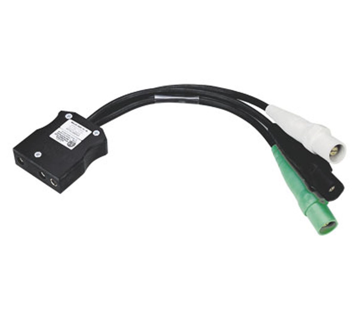 100a bates snake bite - Geronimo Creek